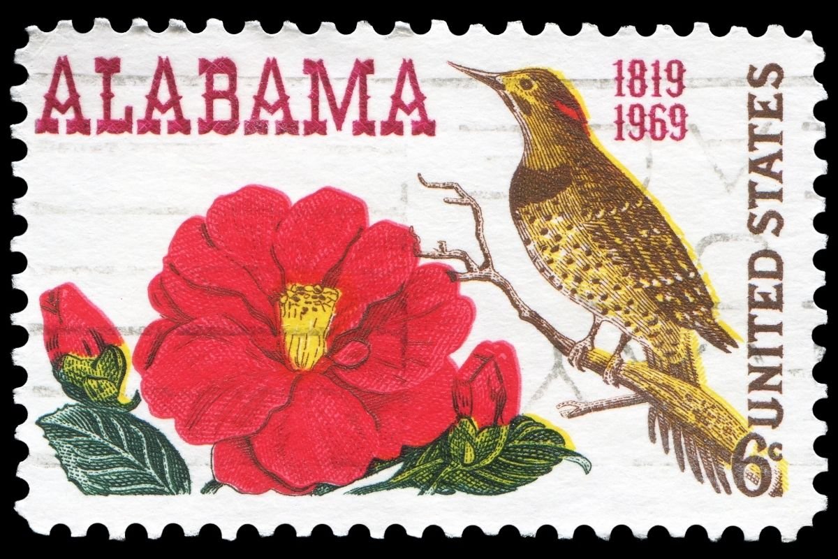 Accurate Alabama ZIP Codes – Get 699+ Verified ZIPs Quick!